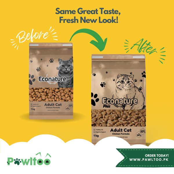 Econature Plus Adult Cat Chicken – 1KG
